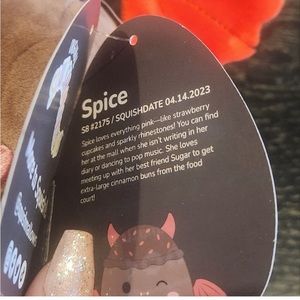 Squishmallows | Toys | Squishmallow Spice 8 | Poshmark